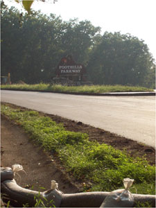 Shaw Industries Investing in GeoHay - Recycling Today